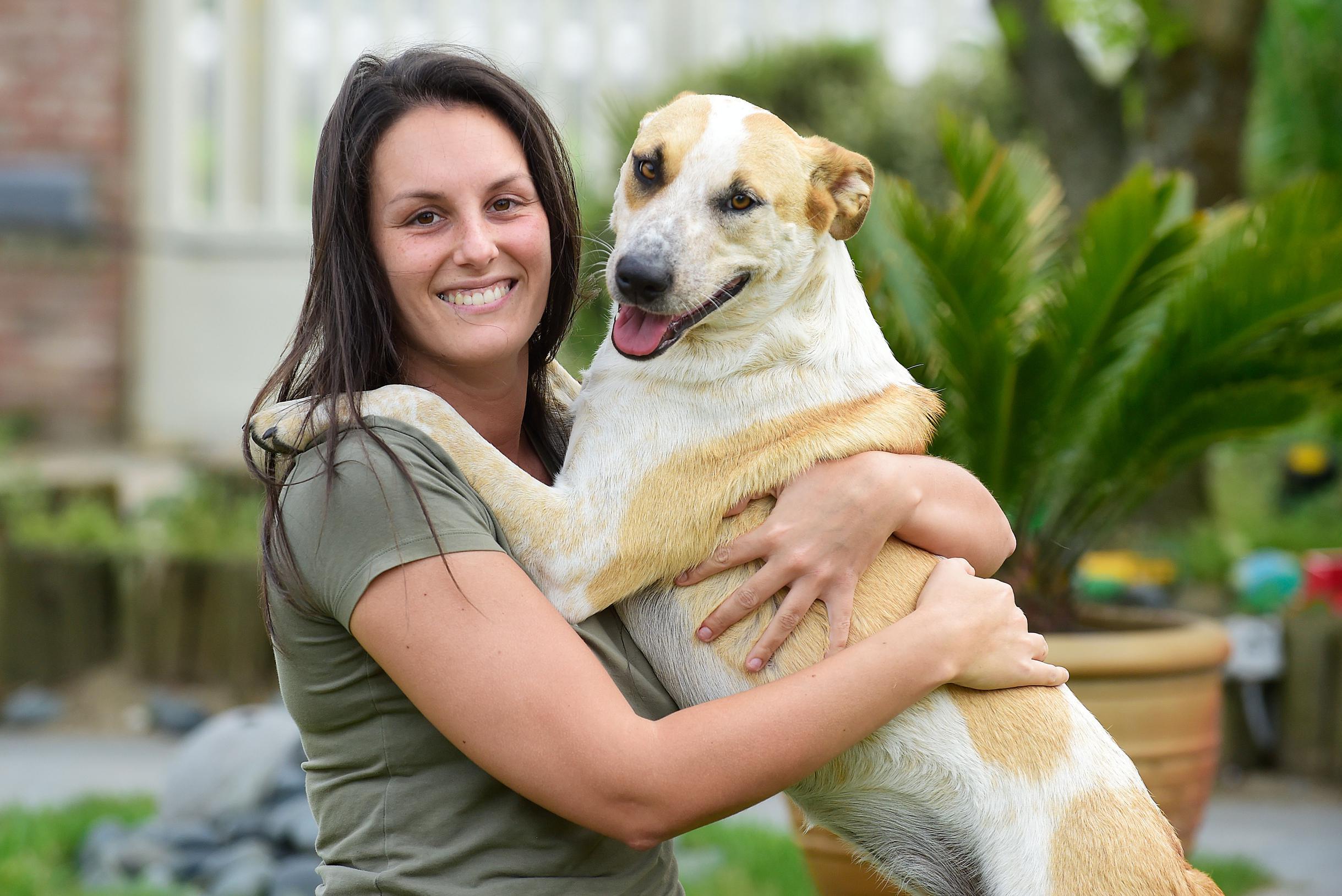 Blaffende pennenvriend doet hen de kanker even vergeten: UZ Gent start met origineel project | GVA